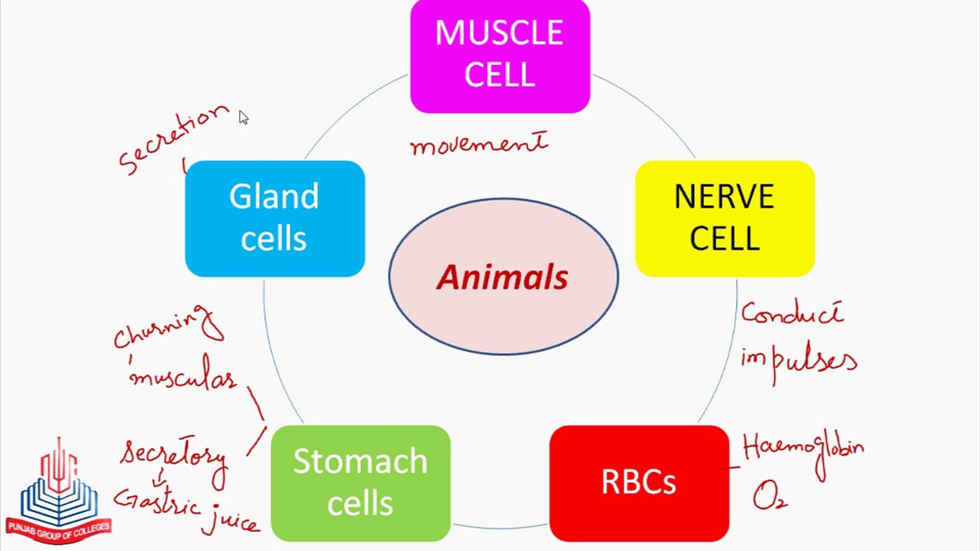 Structure Of A Generalized Cell