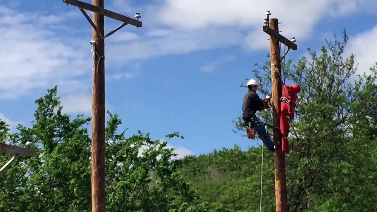 Lineman Pole Top Rescue Fail Video Dailymotion