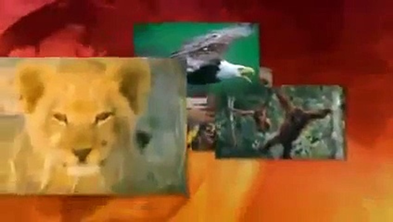 National Geographic Documentary Radioactive Wolves Of Chernobyl Scary ...