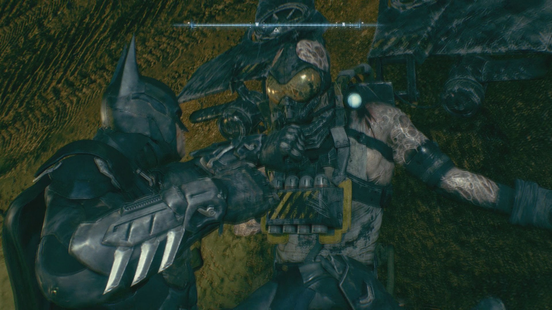 Firefly Batman Arkham Asylum