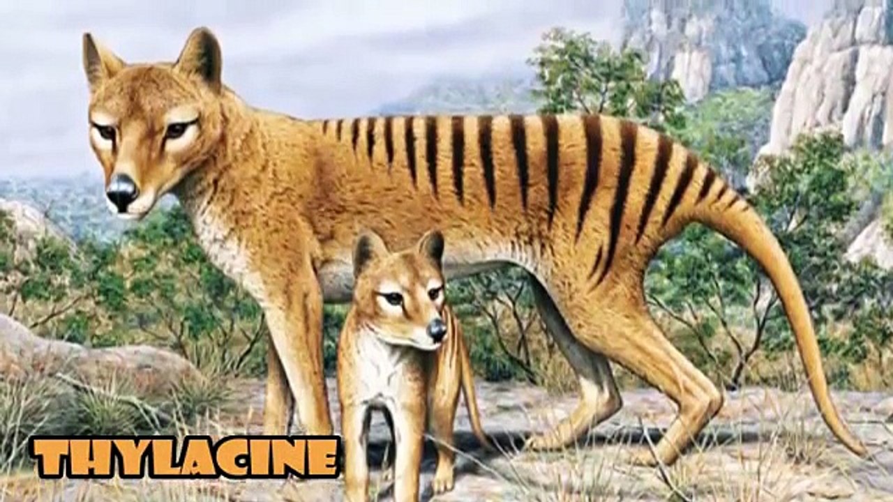Top 10 Most Amazing Extinct Animals - video Dailymotion