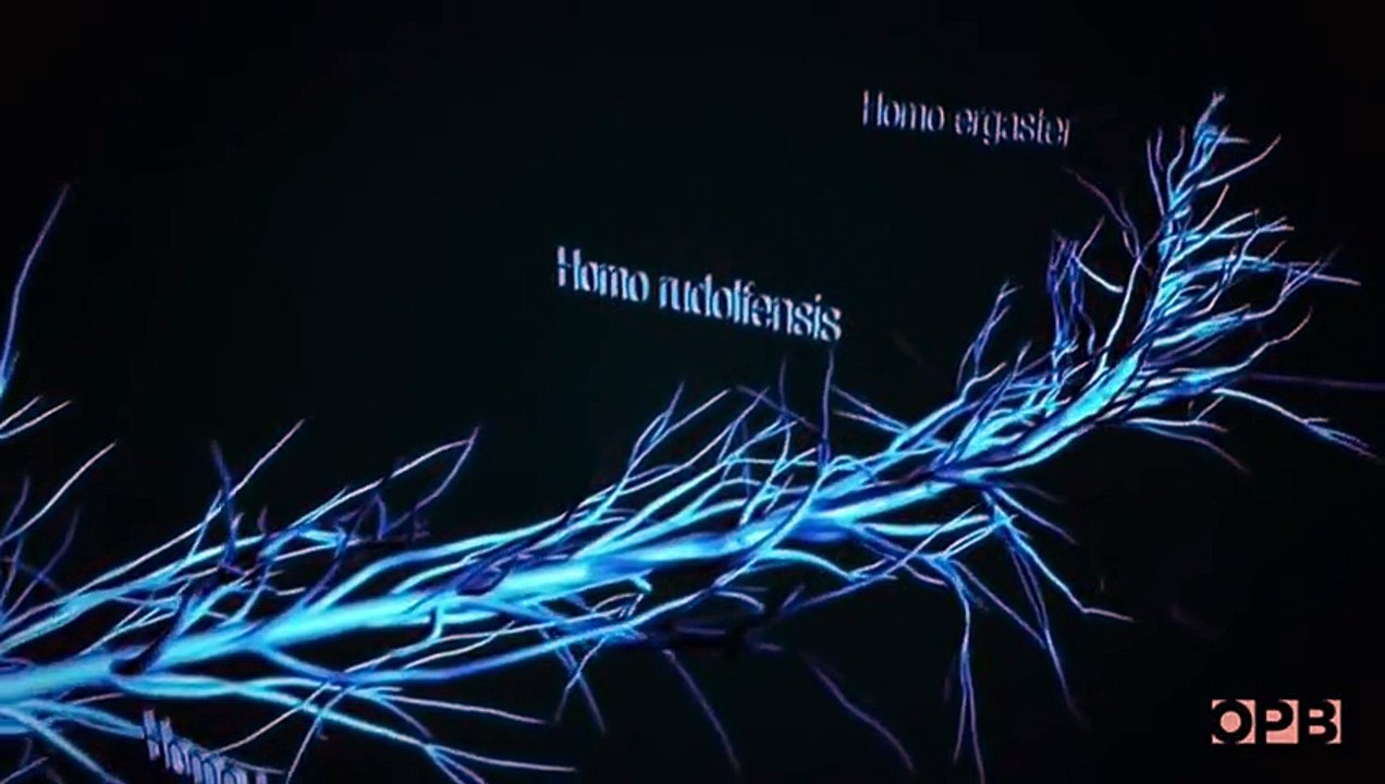 First.Peoples.S01E03.Asia. - video Dailymotion