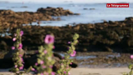 Didier Labouche. L'éditeur nomade | Le Télégramme