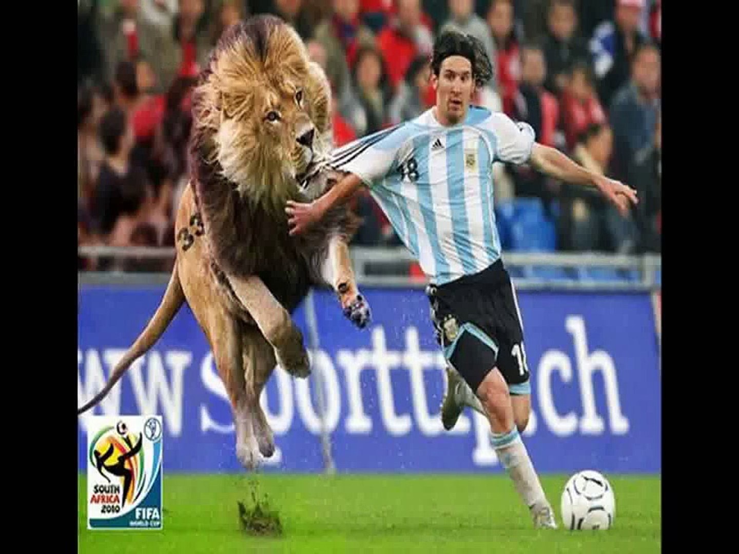 Funny Football Jokes