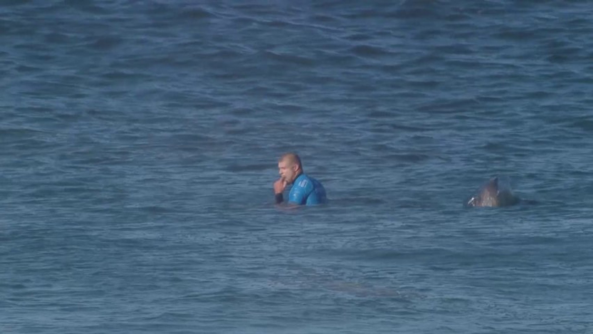 Video - Shark attack sees J-Bay Open called off | beIN SPORTS