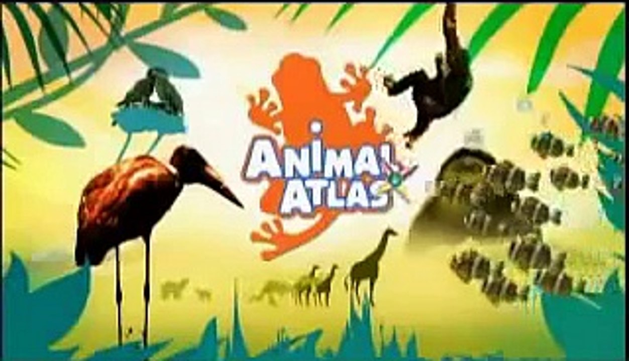 Animal Atlas DVDs Trailer - video Dailymotion