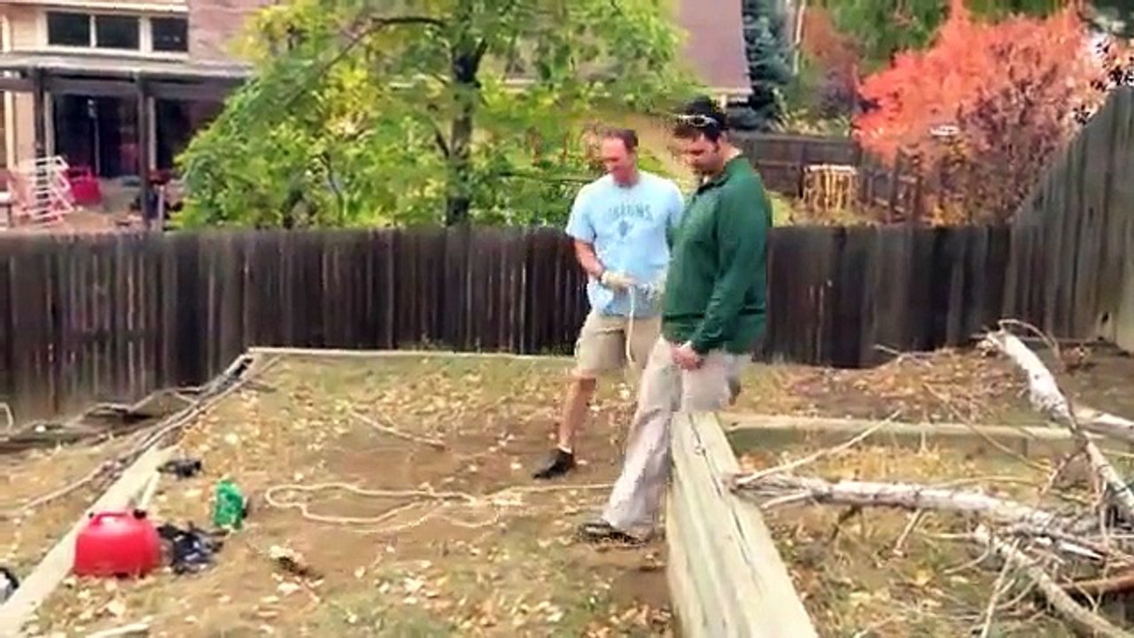 Tree Felling Gone Bad - video Dailymotion