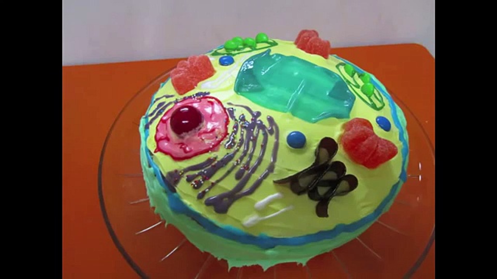 Animal Cell Model Cake
