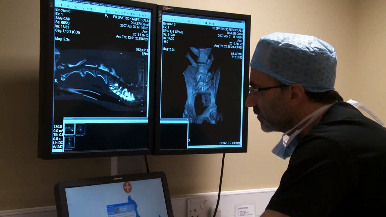The "Bionic Vet" on Veterinary Biosciences - University of Surrey ...