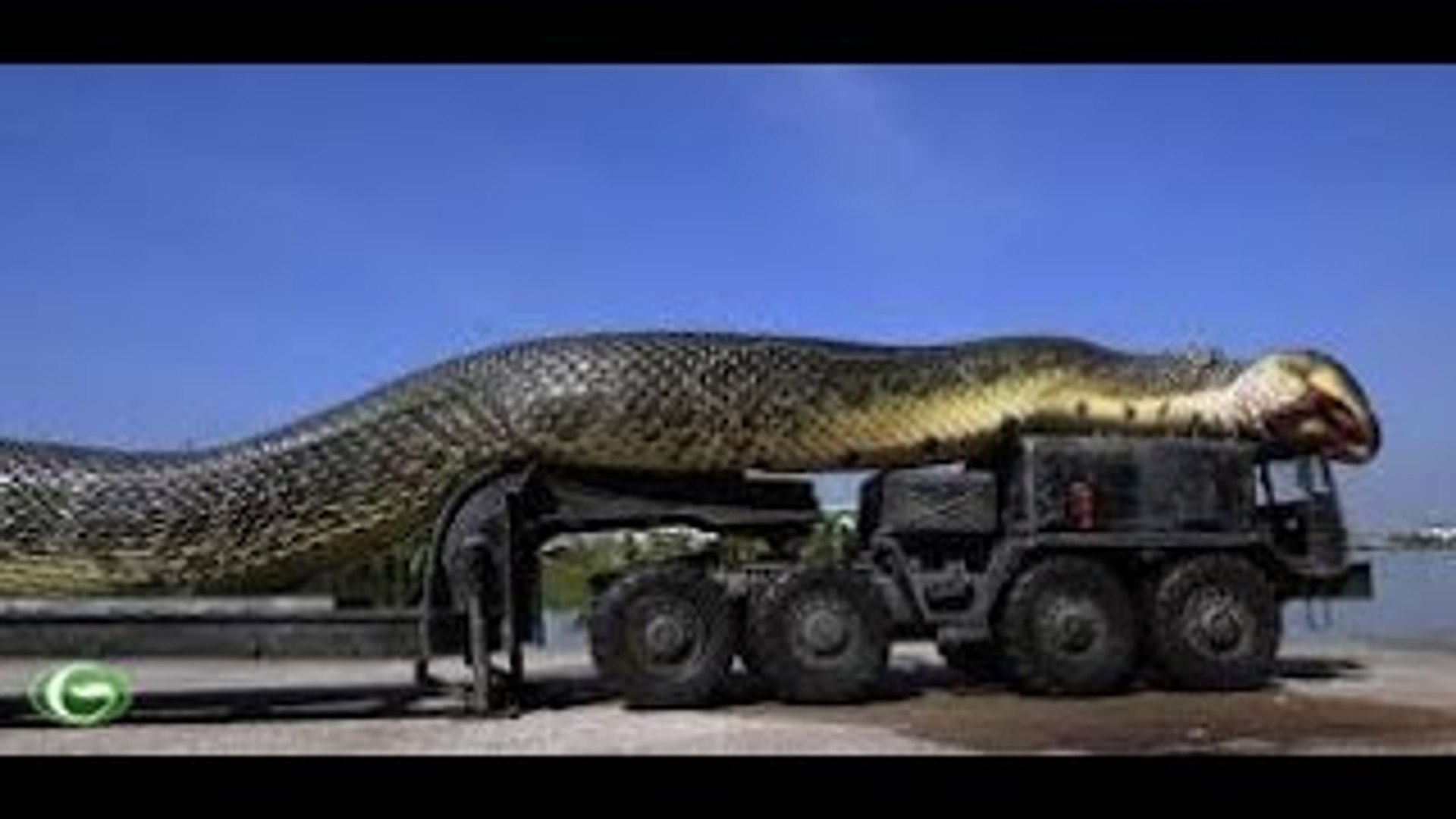 Behold the World's Largest Snake: See the Incredible Picture that will ...