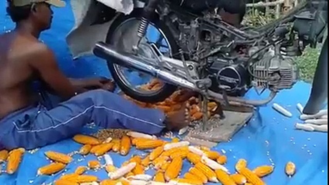 amazing-talent-for-shucking-corns-video-dailymotion