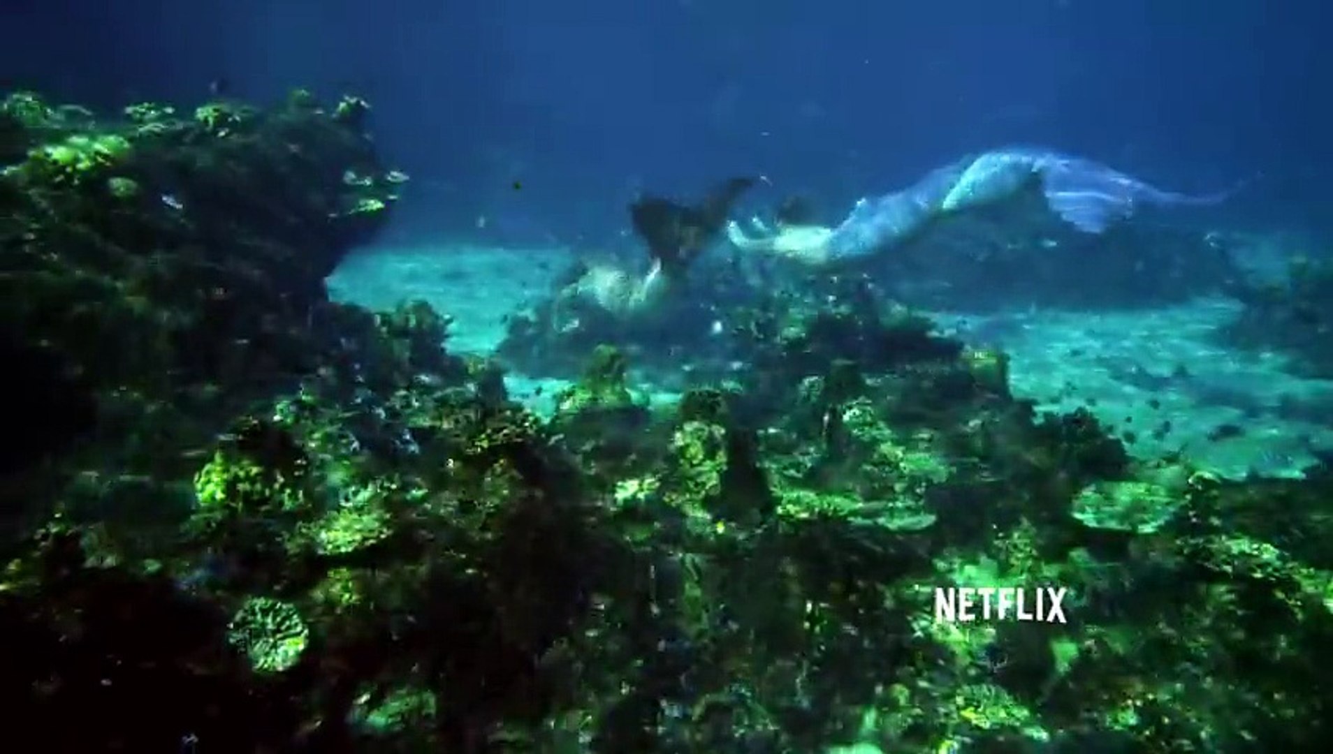 Mako Mermaids Season 2 Trailer
