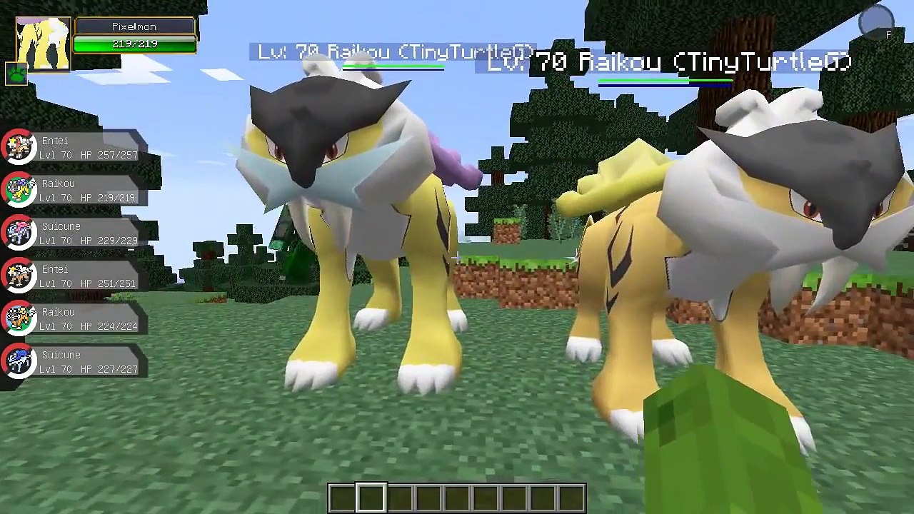 Minecraft Mods Pixelmon "LEGENDARY DOGS" Showcase! (Pokemon in ...