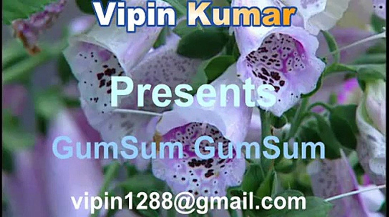 gumsum gumsum pyar ka mausam - video song - [HD 720p] - video Dailymotion