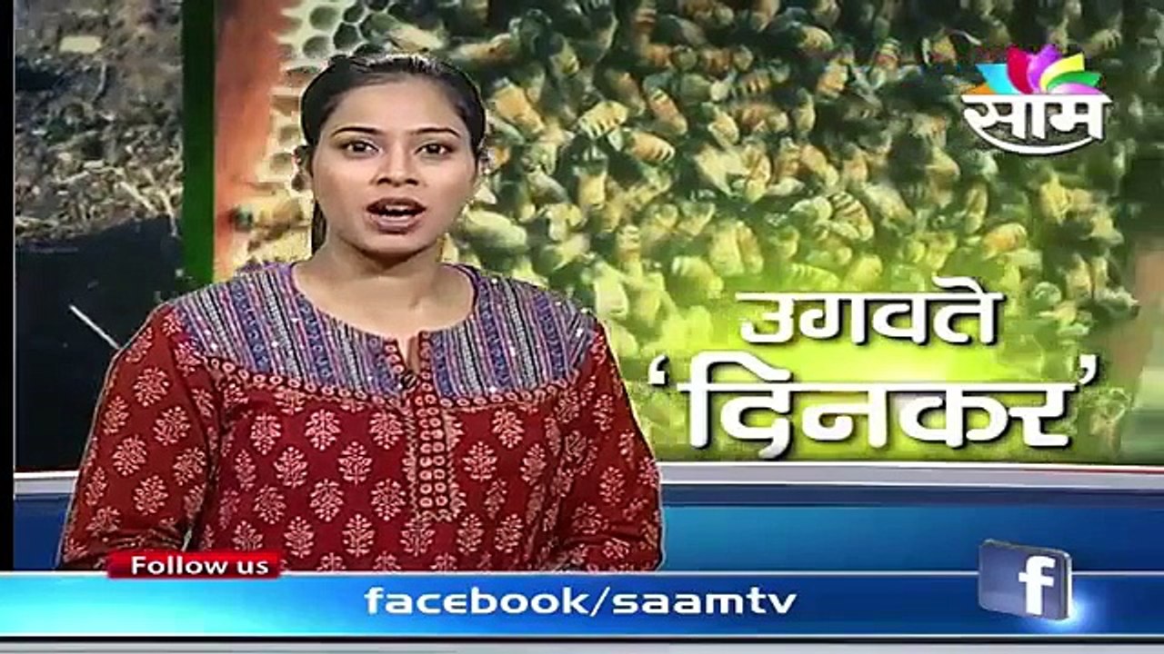 Dinkar Patil's Honey Bee Farming/Honey Bee Keeping (Apiary) - (Madhu ...