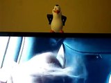 Monty Python Exploding Penguin On The TV Set Quote A Long - video ...