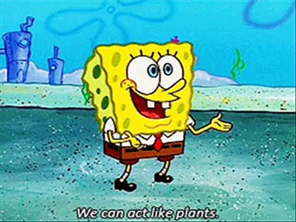 Spongebob Squarepants - Timber - Spongebob Squarepants 2015 episodes ...