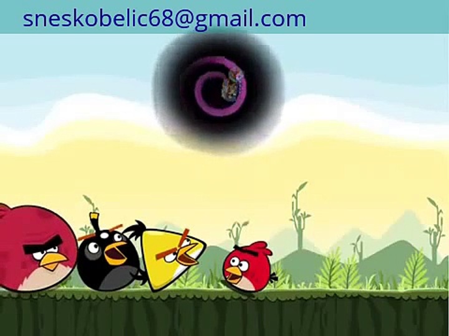 Orange Bird Angry Birds