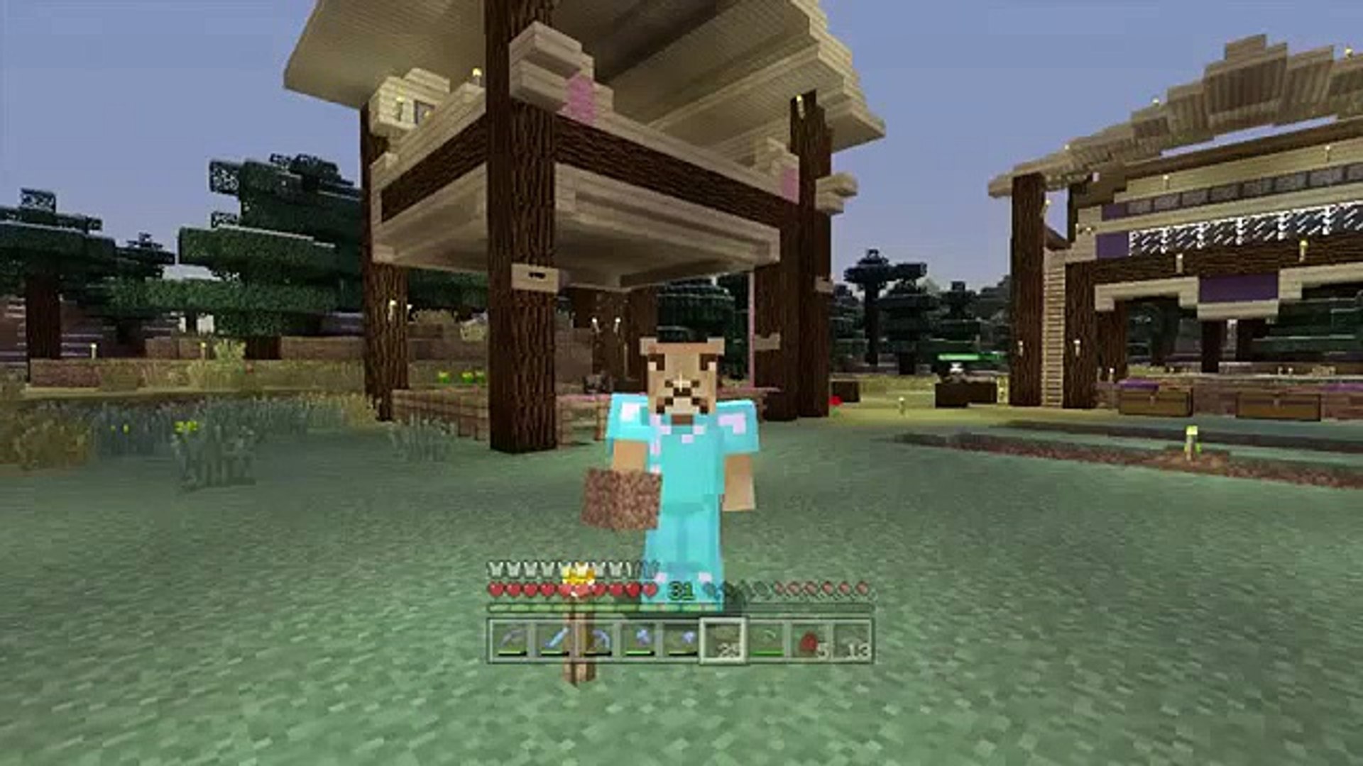 Minecraft Lion Maker