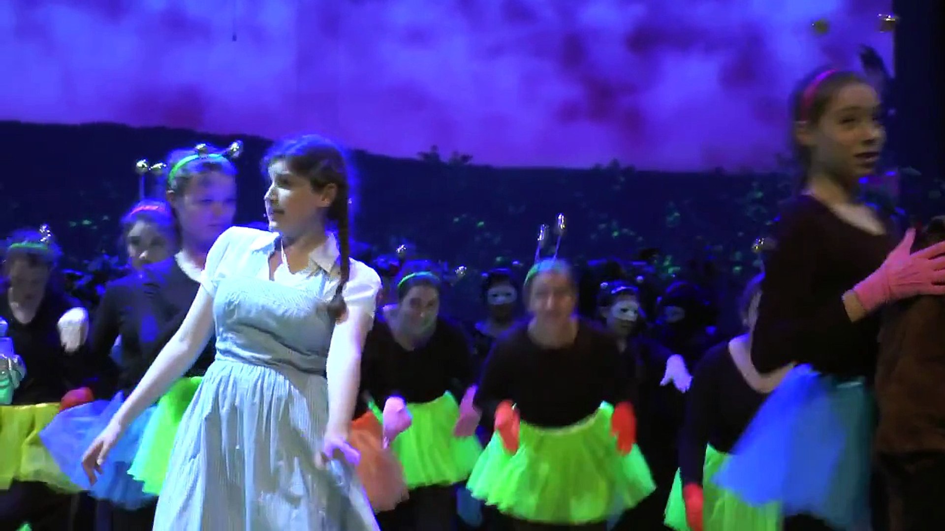 Jitterbug Wizard Of Oz