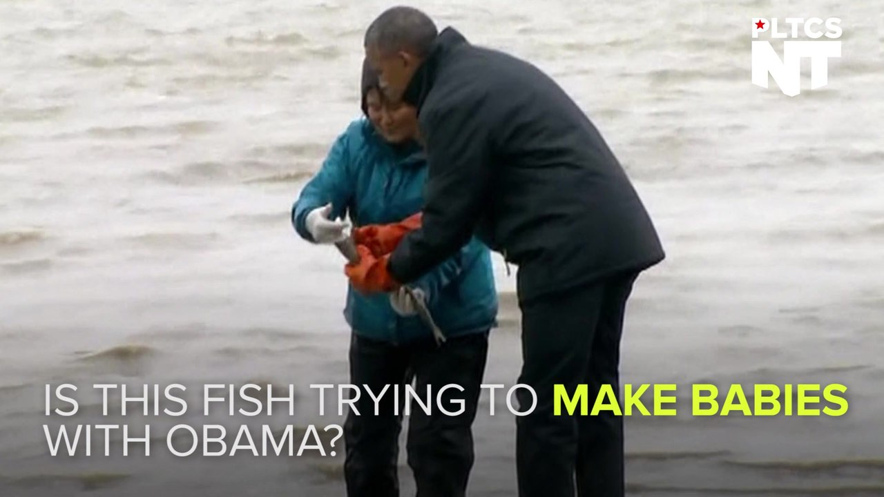 Fish Spawns On President Obama - video Dailymotion