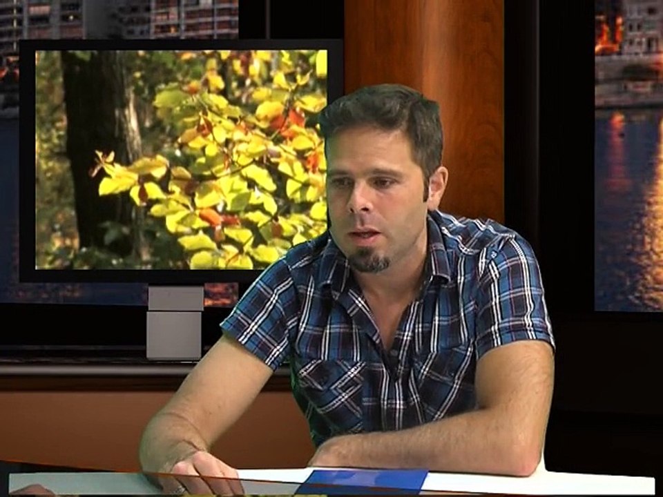 Sembrando Esperanza - David Bea - 22.08.2015 - Vídeo Dailymotion