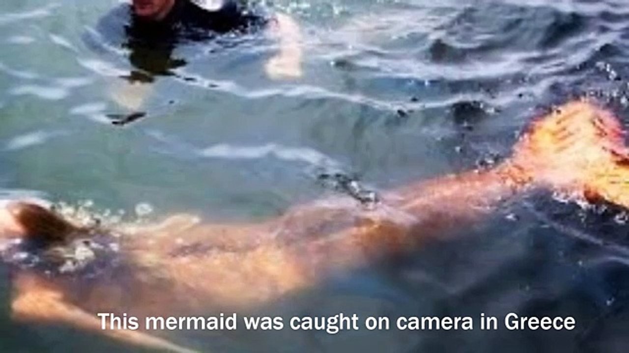Real Mermaids - Real Mermaids Caught on Camera - Real Mermaid Evidence ...