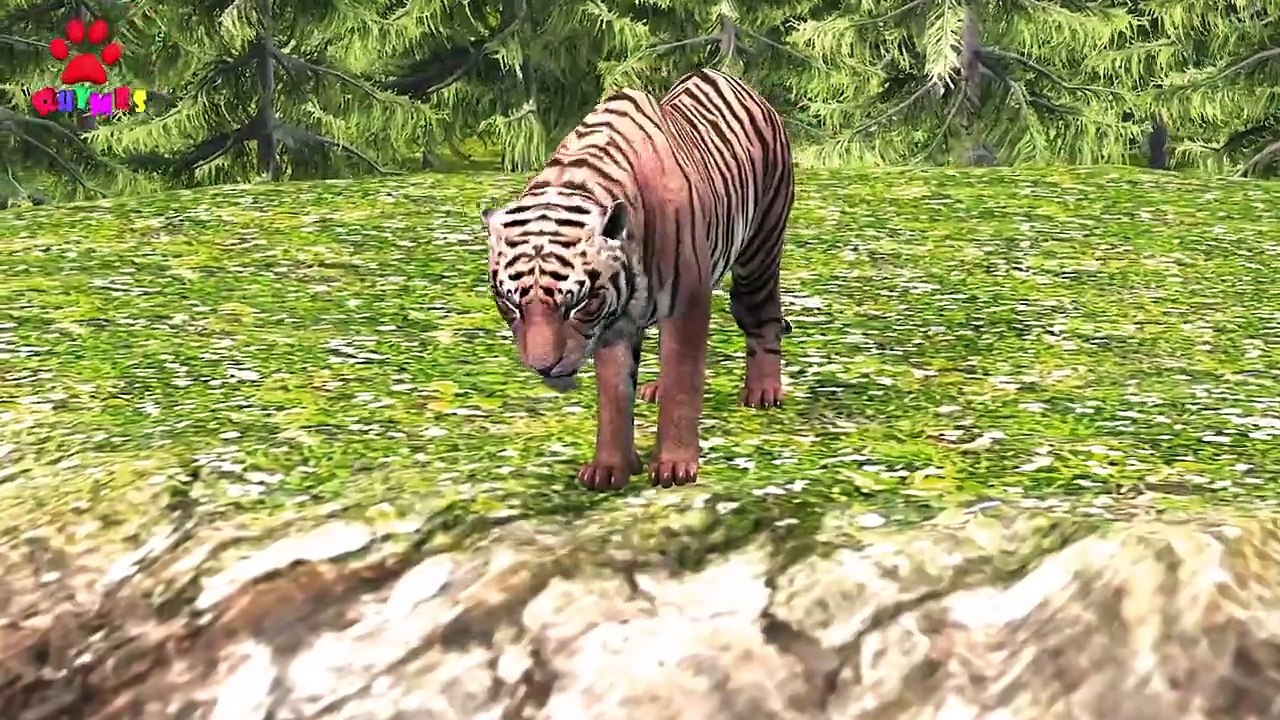 Tiger Finger Family Nursery Rhymes 3D | 3D Finger Family Songs for ...