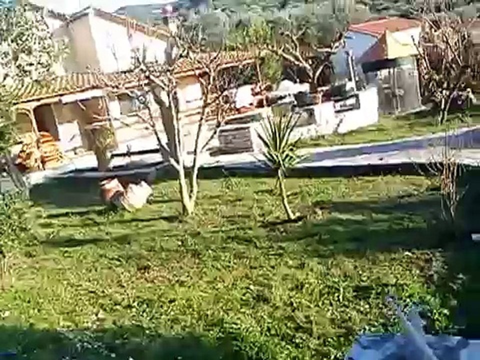 karderina Καρδερινα και Φλωρος σε παγιδα... - video Dailymotion