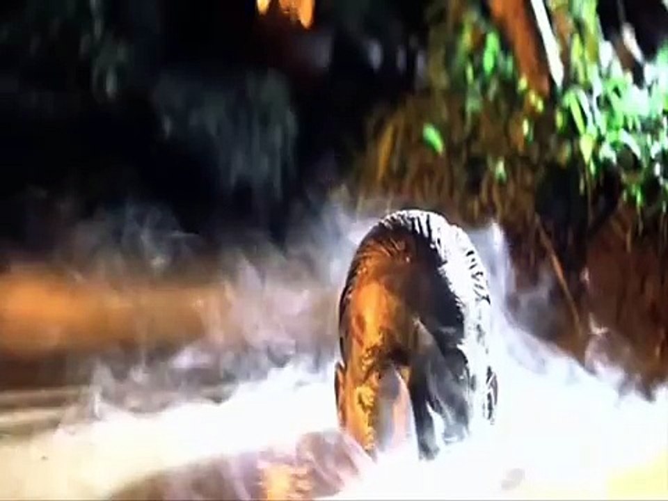 Invoking our gods of war (Apocalypse Now buffalo sacrifice) - video ...