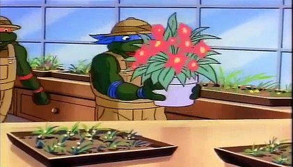 TMNT by BroHomo - Dailymotion