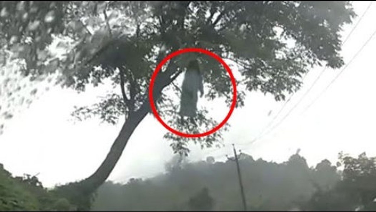 Ghost hanging on tree | Real Ghost Videos - video Dailymotion