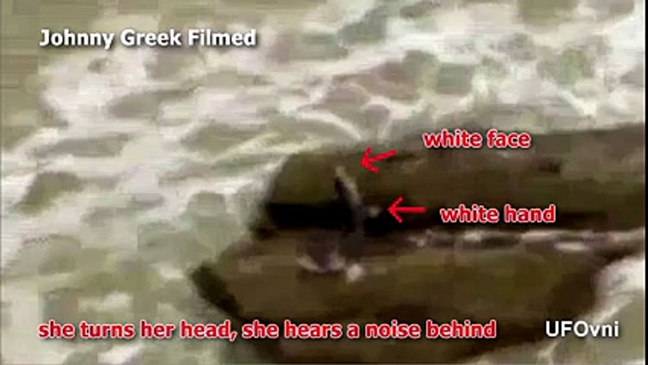 Mermaid Found Near The Beach - video Dailymotion