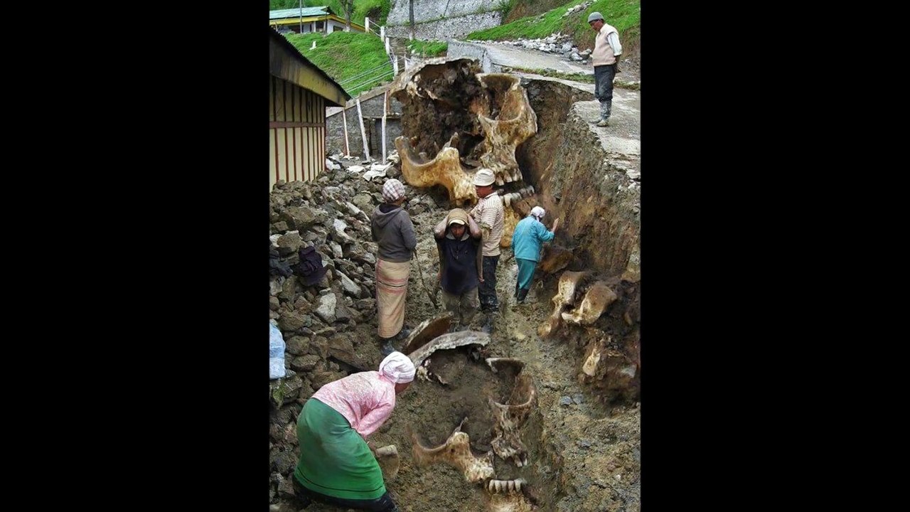 Giant human skeletons found all over the world - Discovered National ...