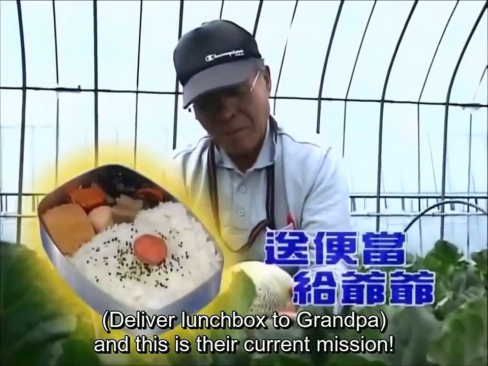 Pankun & James: Genius Chimpanzee Lunch Delivery engsub 狗狗猩猩大冒險 - video ...