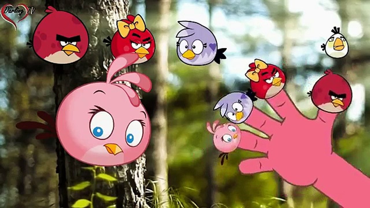 Finger Family Nursery Rhyme _ 2D Darling TV Angry Birds Rhymes for Kids ...