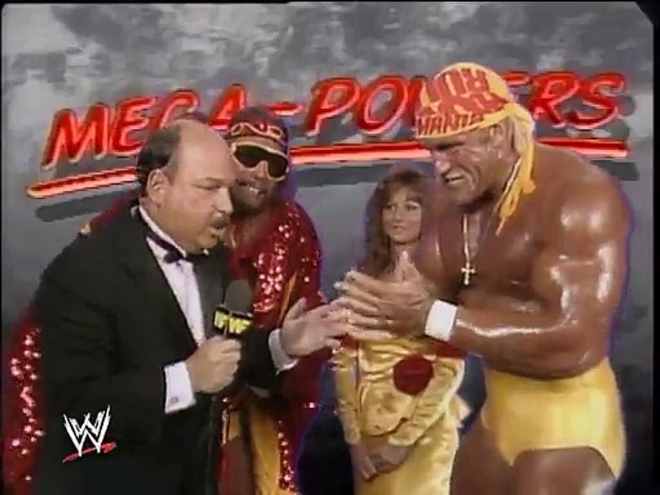 WWF SummerSlam 1988 - The Mega Powers Interview - video Dailymotion