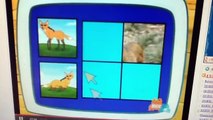 Go Diego go Spectacled Bear puzzles - video Dailymotion