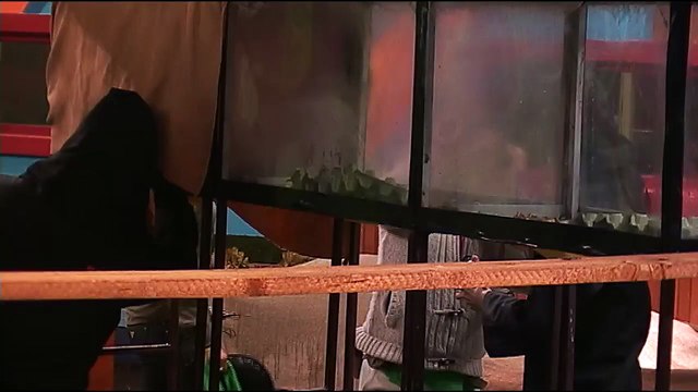 Reality Show Novosti videos - Dailymotion