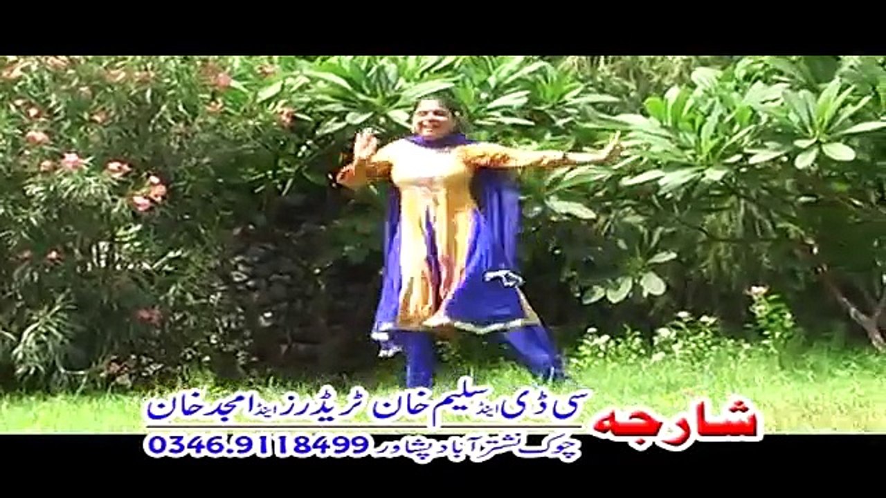 Na Ska Pawom Baghi Pashto New Song 2016 Pashto HD - video Dailymotion