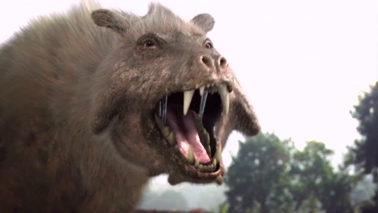 Killer Pig - Prehistoric predators - National geographic - video ...