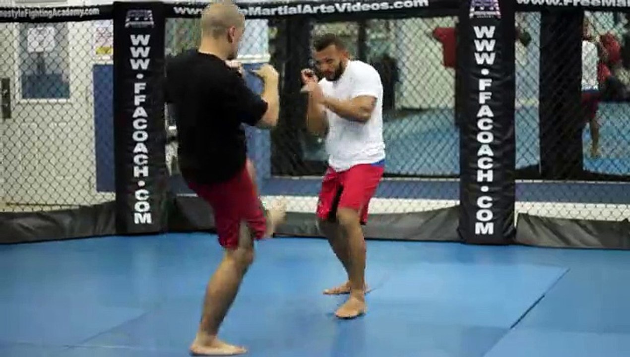 The Most Effective Fighting Styles - video Dailymotion