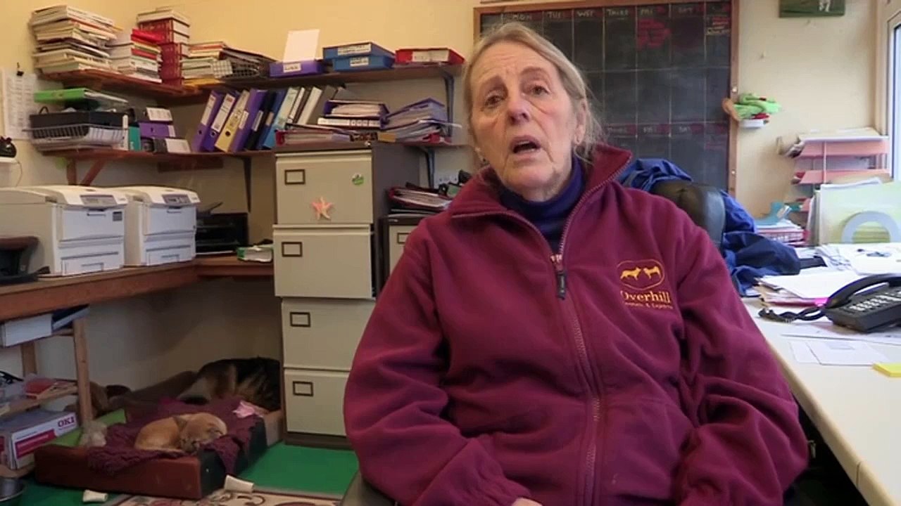 Fake Britain Series 6 03of10 720p - Dailymotion Video