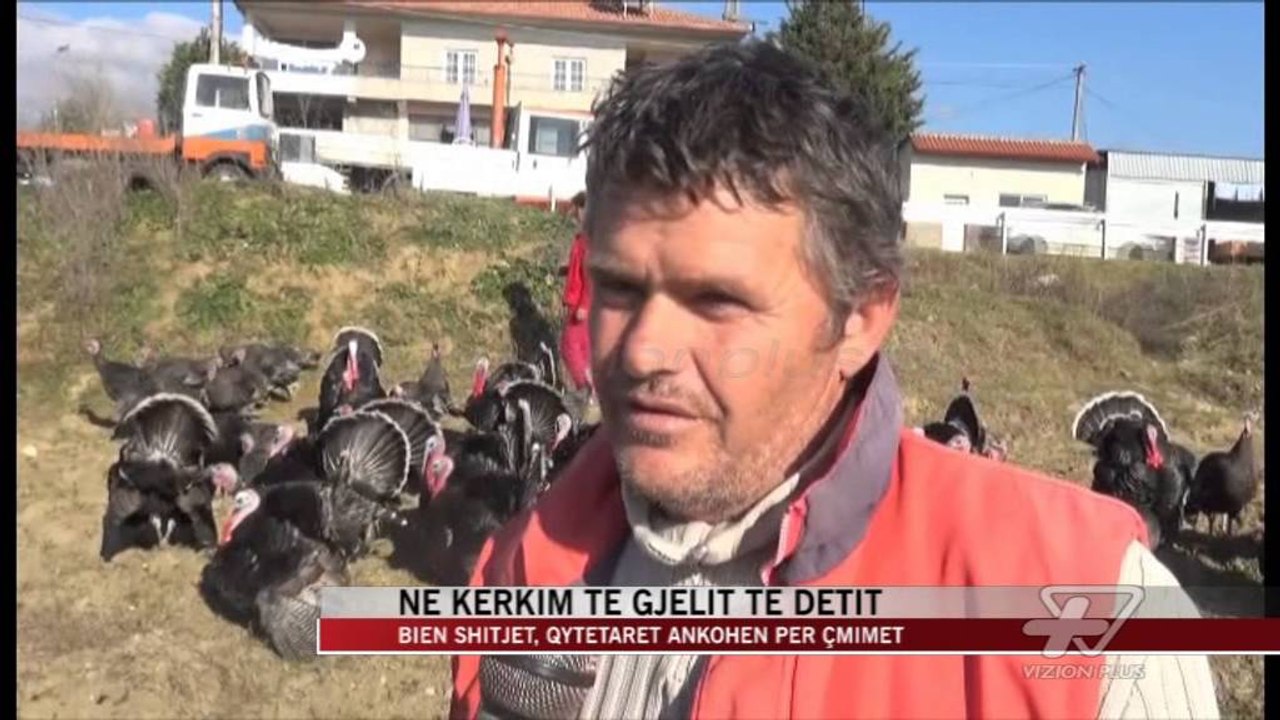 Ne kerkim te Gjeli te Detit - News, Lajme - Vizion Plus - video Dailymotion