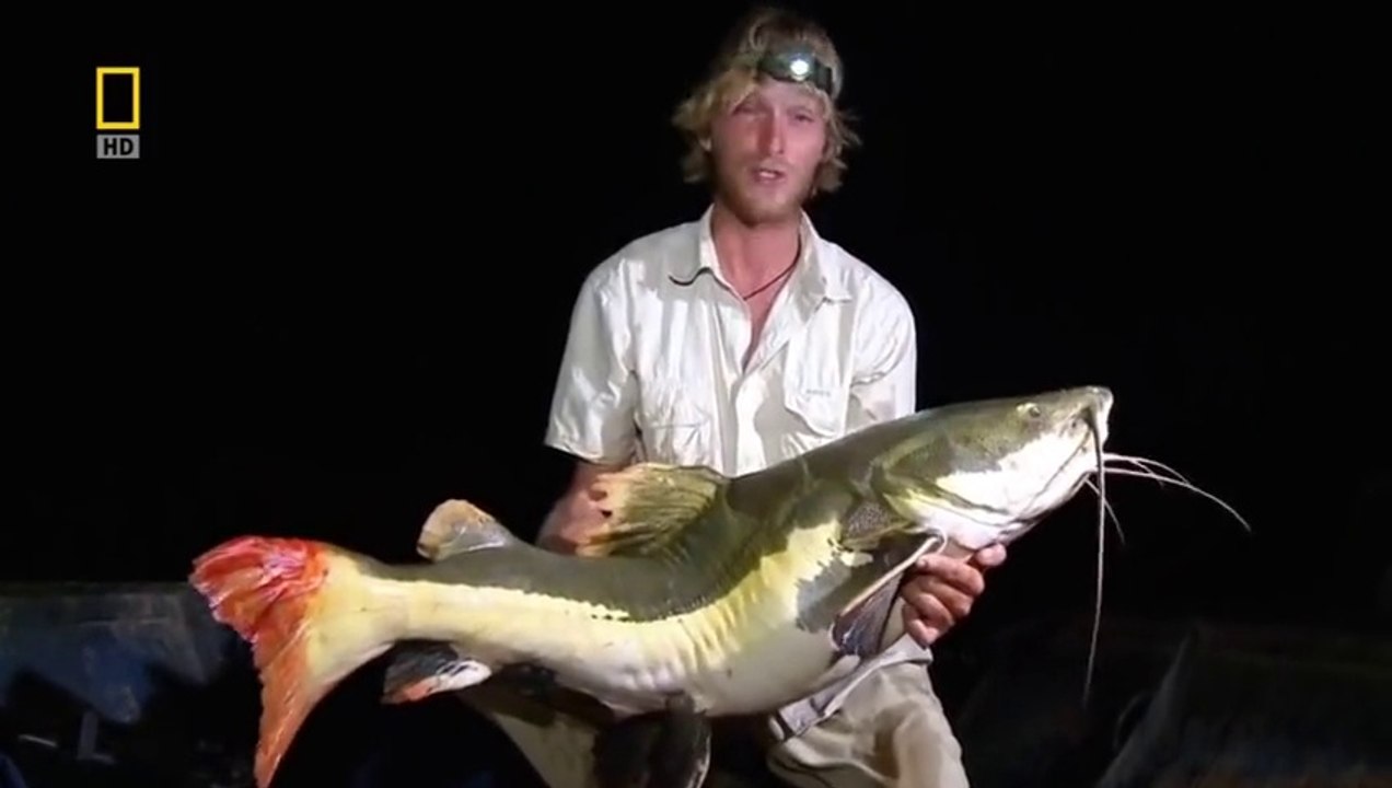 Fish Warrior: Colossal Catfish (National Geographic Fishing Documentary ...