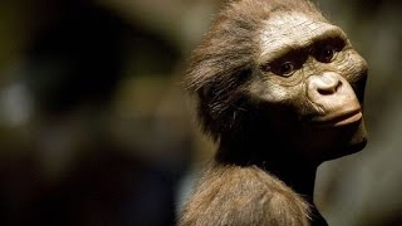 PBS Nova Becoming Human - Episode 1 : First Steps Homo Sapiens - video ...