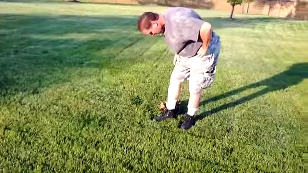 Ducklings Adorably Follow Man Who Rescued Them Wherever He Walks ...