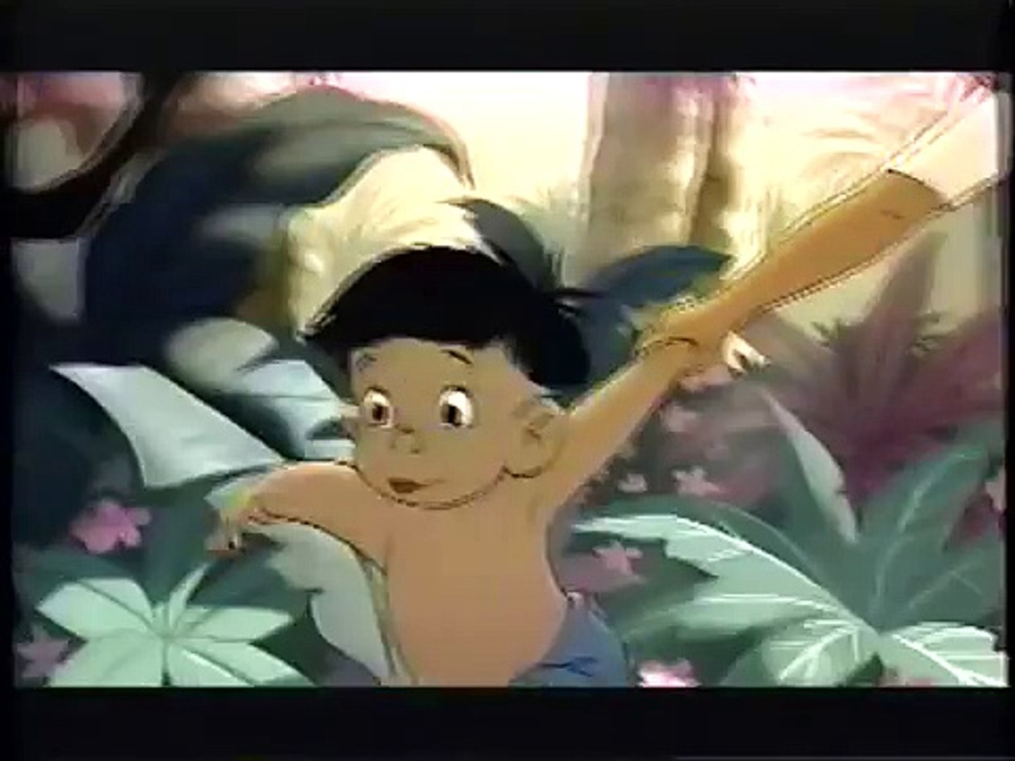Ranjan Jungle Book 2