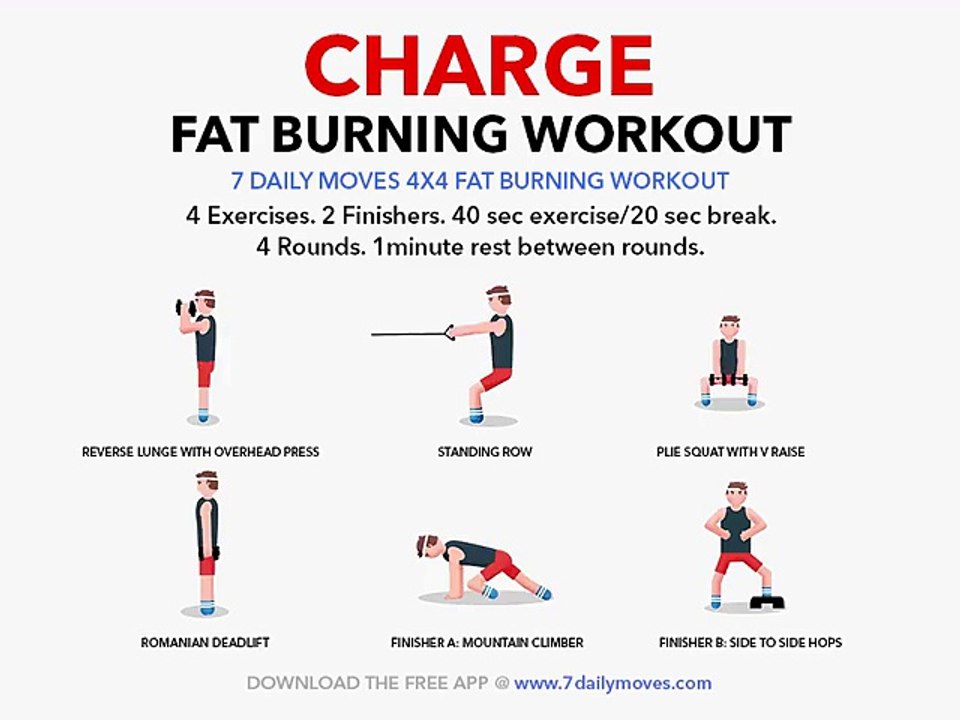 7 DAILY MOVES FAT Burning Workout - video Dailymotion