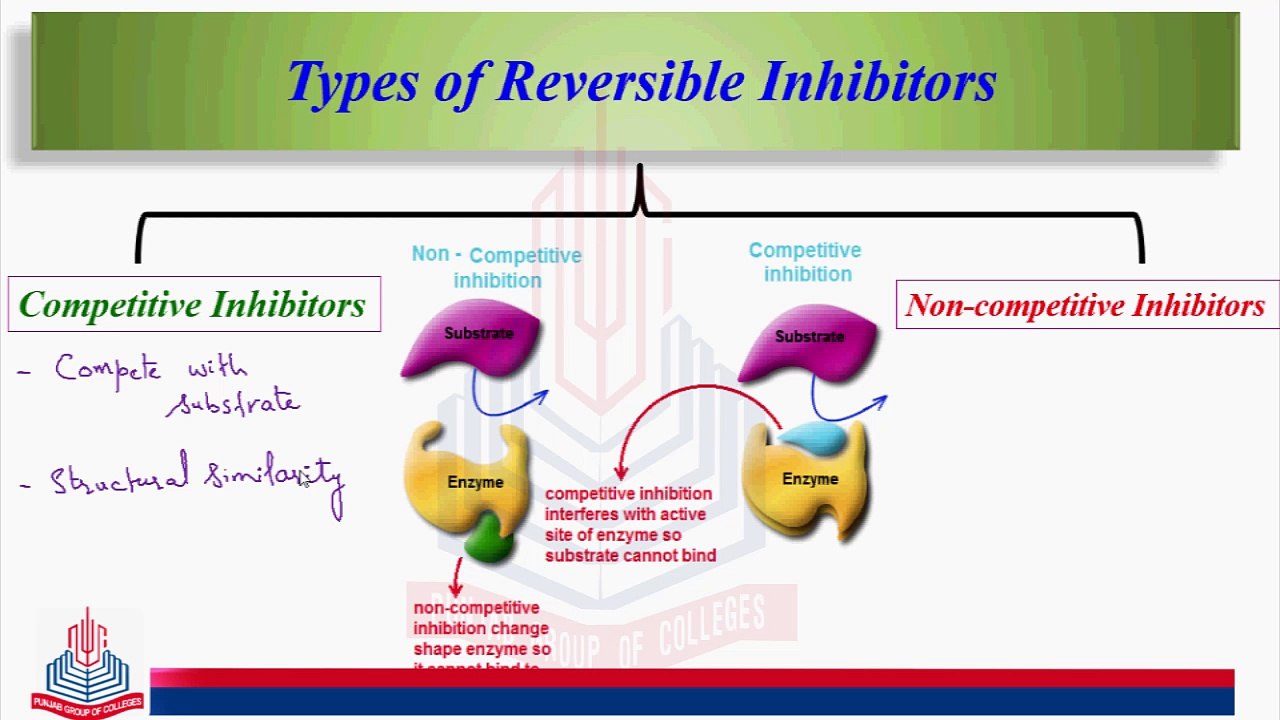 Reversible Inhibitors and their Types - video Dailymotion